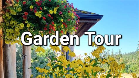 Garden Tour Sunday August 20 2023 Youtube