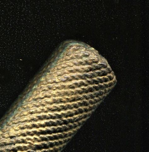 หลวงปู่เทียม วัดกษัตราธิราช ตะกรุดมหาระงับ ยาว ๘ นิ้ว เนื้อตะกั่ว ลงวานิช จ อยุธยา Excellent