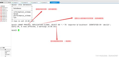 【云原生】prometheus 监控系统的初步了解与系统搭建client Library Prometheus Csdn博客