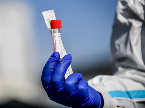 Сүүлийн дөрвөн сарын хугацаанд хамгийн өндөр буюу коронавирусийн 243 тохиолдол шинээр илэрлээ