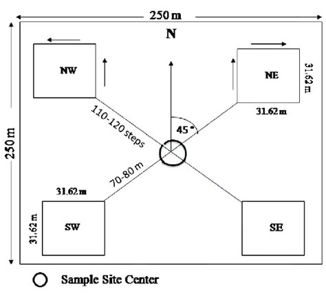 Cluster Sample Plot Design For Enumerating Trees Species Dadhwal Et Download Scientific