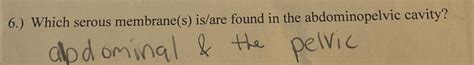 Solved 6 ﻿which Serous Membranes ﻿isare Found In The