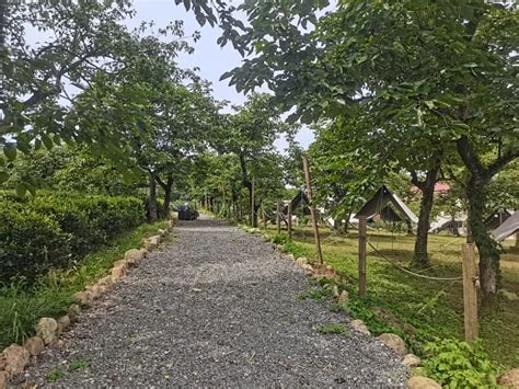 萧山横一村未来乡村 98 花瓣网
