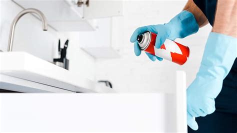 Is It Safe To Spray Bug Spray In Cabinets The Landscaping Zone