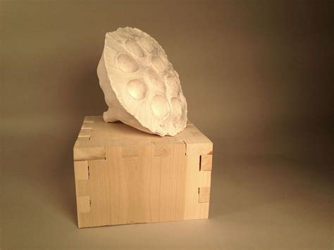 Lotus Seed Pod Sculpture On Risd Portfolios