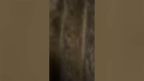 loop funny satisfyingloop endlessloop perfectloop youtube