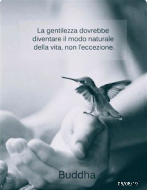 Pin Di Palma Erba Su Frasi Citazioni Sagge Citazioni Divertenti