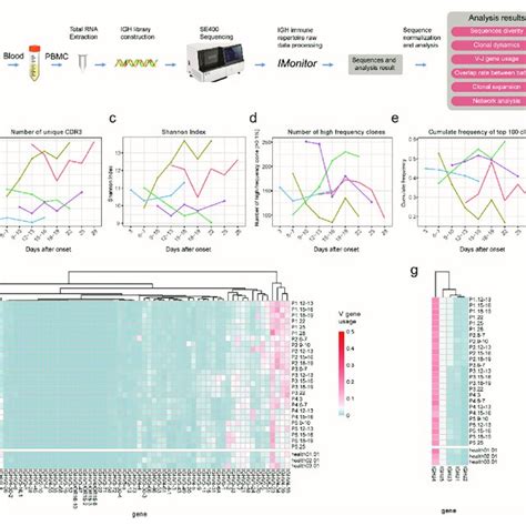 Schematic Diagram Of The Experimental Process And Overall Dynamic Download Scientific Diagram