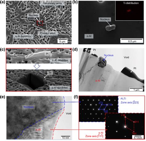 A Sem Image Of The Equiaxed Dendritic Grains With One Nucleus B
