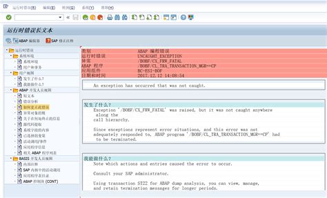 Bapiincominginvoicecreate1连续多张发票校验时，系统dump问题解决过程 码上快乐