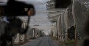 Від початку доби на фронті відбулося 113 боєзіткнень Генштаб