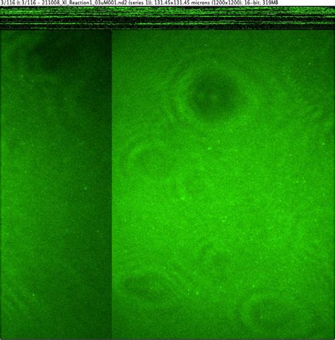 Nd2 Stack Not Opening Properly Usage And Issues Image Sc Forum