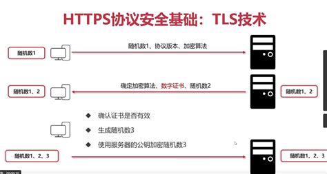 计算机网络 Tcp、udp协议分别属于什么层 Dodo神 博客园