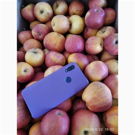 Продам яблоки Каховка Яблоки — Apkua
