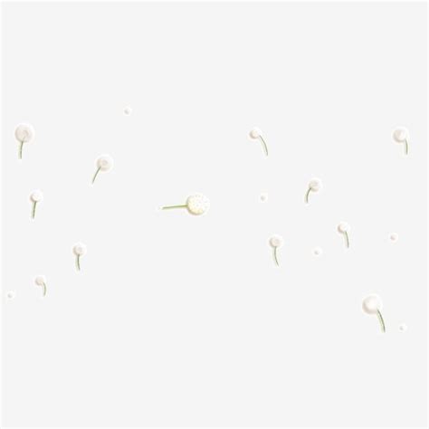 작은 신선한 민들레 만화 일러스트 귀여운 일러스트 흰색 작은 신선한 Png 일러스트 및 Psd 이미지 무료 다운로드