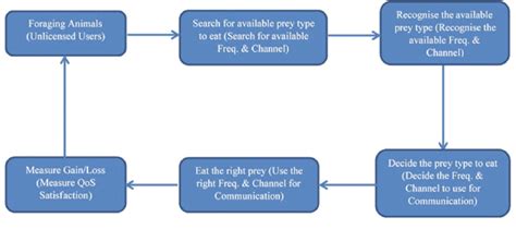 Optimal Foraging Cycle For Distributed Crns 8 Download Scientific Diagram