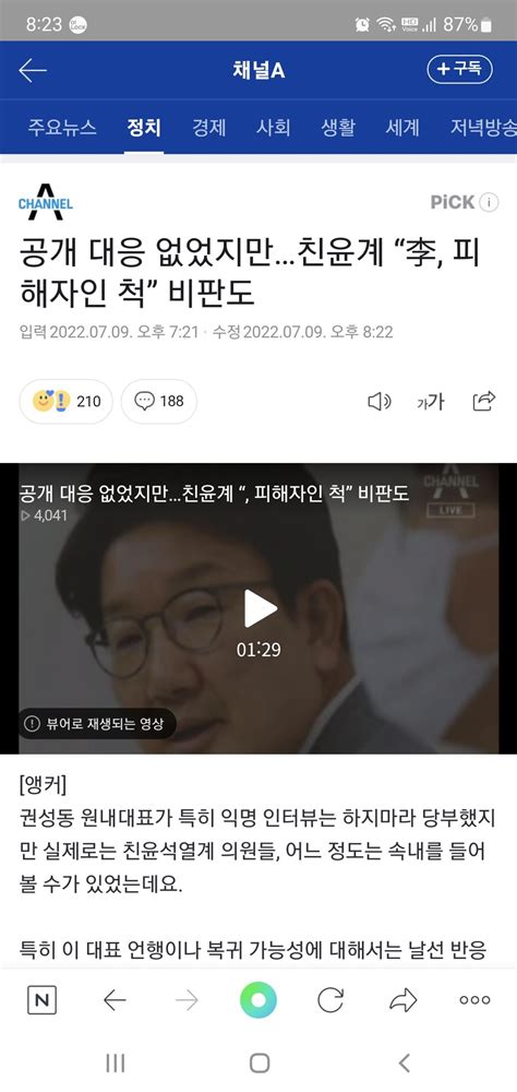 공개 대응 없었지만친윤계 “李 피해자인 척” 비판도 정치시사 에펨코리아
