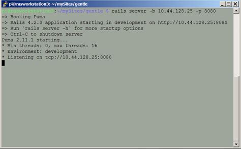 How To Access Ruby Web Server Such As Webrick Or Puma Rails Framework