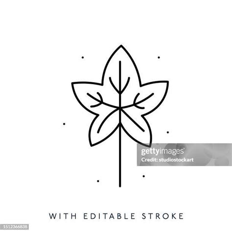 32 Maple Leaf Icon Editable Stroke High Res Illustrations Getty Images