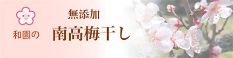 十郎梅干し 曽我の里農園和園なごみえん小田原特産無添加完熟