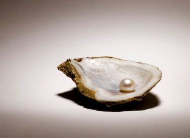 True North The Pearl