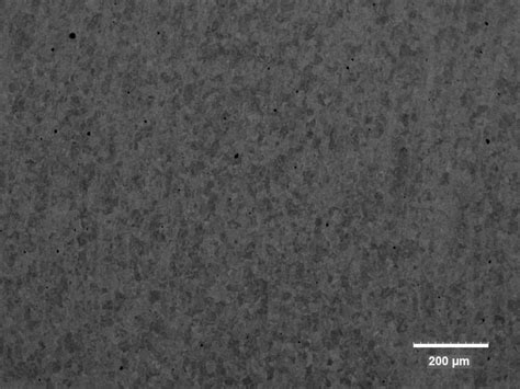 An Sem Micrograph Taken In Secondary Electron Mode Depicting The