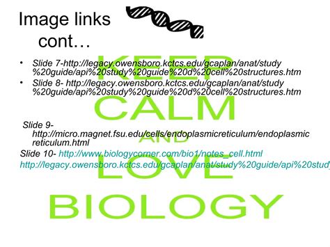 2 03 cell structure and function | PPT | Biological Sciences | Science
