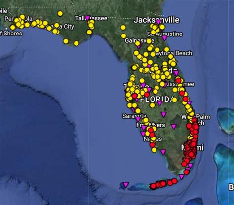 Ufifas Unveils Online Tool Stay Ahead Of Termite Risk With An