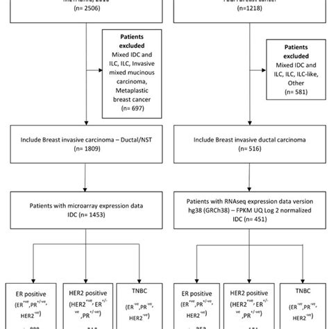 Hierarchical Clustering For The Shortlisted Genes Hierarchical Download Scientific Diagram
