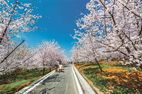 贵阳从头越 驰而不息造六爽 中国旅游新闻网