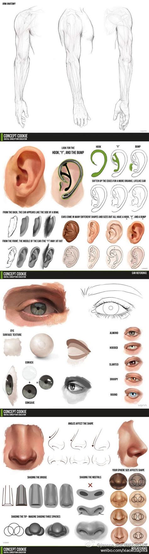 Da Art Tutorials Painting Tutorial Art Drawings