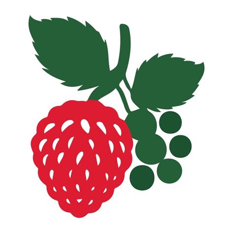 Premium Vector Berry Icon Vector