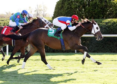 Brass Hat 9 Will Try For Clark Victory