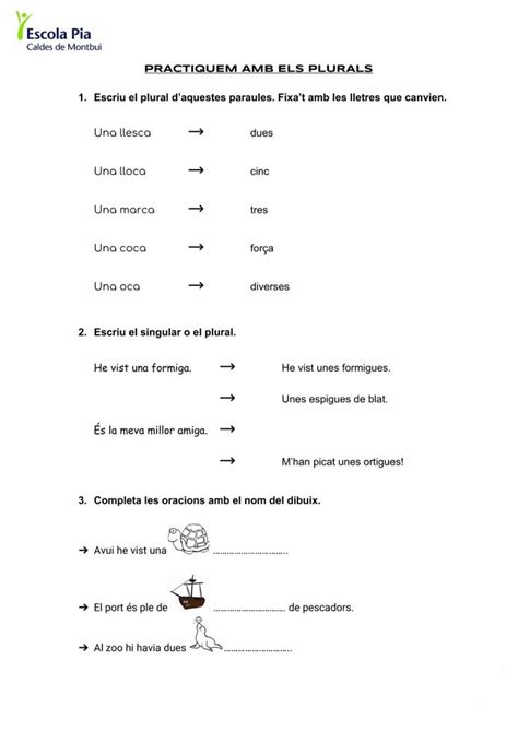 Plurals Worksheet For Cuarto De Primaria Ortografia Catalana