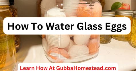 Pickling Lime Water Glassing Eggs At Margaret Cass Blog