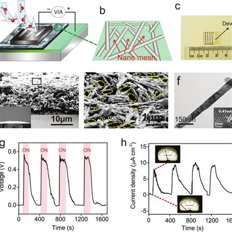 PDF Self Powered Wearable Electronics Based On Moisture Enabled Electricity Generation