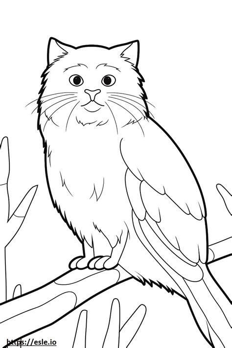 Birman Cute Coloring Page