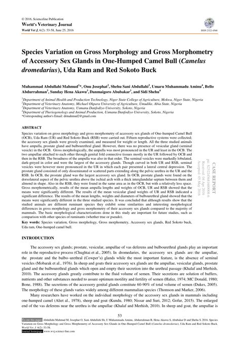 Pdf Species Variation On Gross Morphology And Gross Morphometry Of