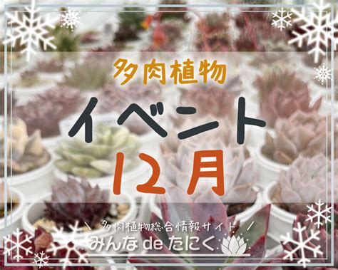 多肉植物2024年12月イベント情報【リアルタイム更新！】 みんなで多肉