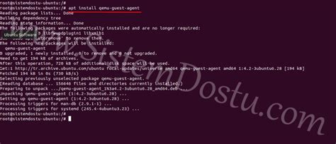 Proxmox Windows Ubuntu Agent Yükleme Sistem ve Network Dünyasına