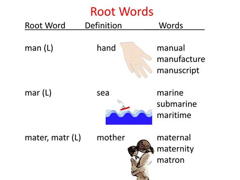 PPT Root Words PowerPoint Presentation Free Download ID 2056677