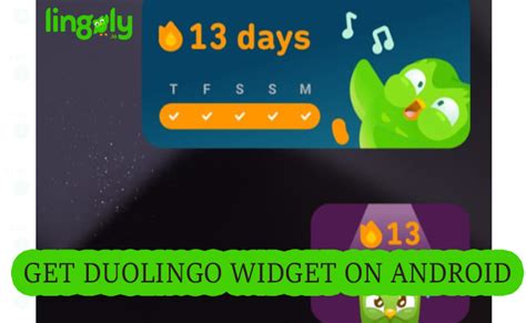 How To Get Duolingo Widget On Android June 2025 Lingoly Io