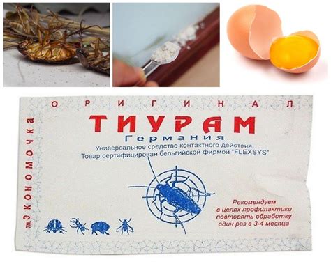 Тиурам от тараканов инструкция по применению