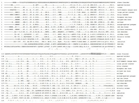 multiple sequence alignment of stone flounder mhc class ii a and its