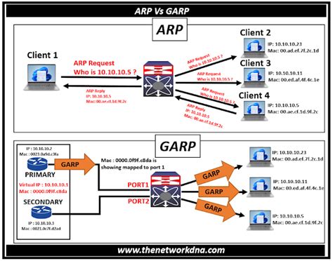The Difference ARP Vs GARP Explained The Network DNA