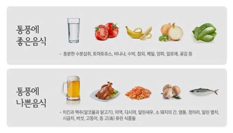 통풍이 잘 안 되는 통풍의 원인 증상 통풍에 좋은 영양제 A14