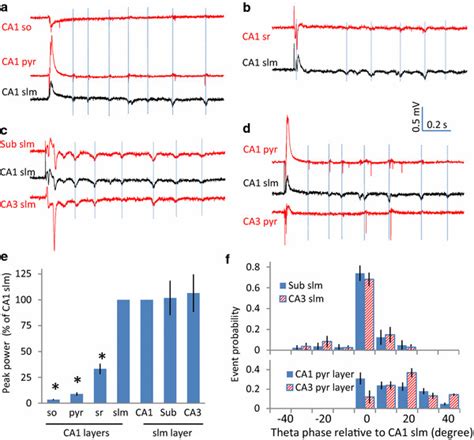 Hippocampal Theta Oscillations Were Led By Tapp Pathway Inputs A