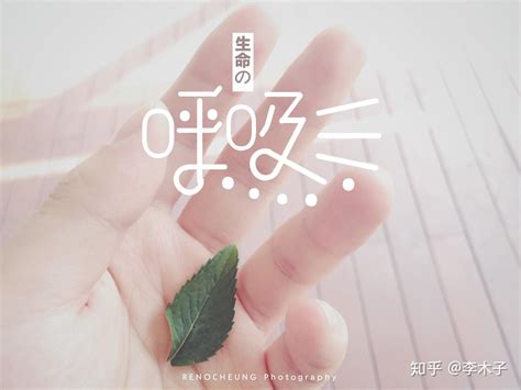 人生在世命最珍贵 知乎