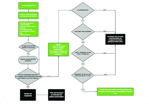 Lifeline Severity Based Stroke Triage Algorithm For Emergency Medical Download Scientific