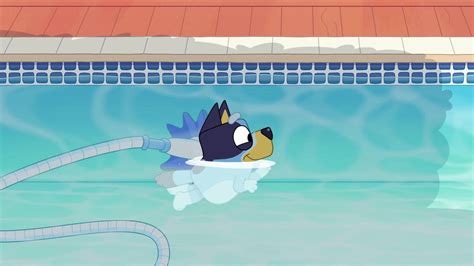 Bluey Swimming By Matuta2002 On Deviantart